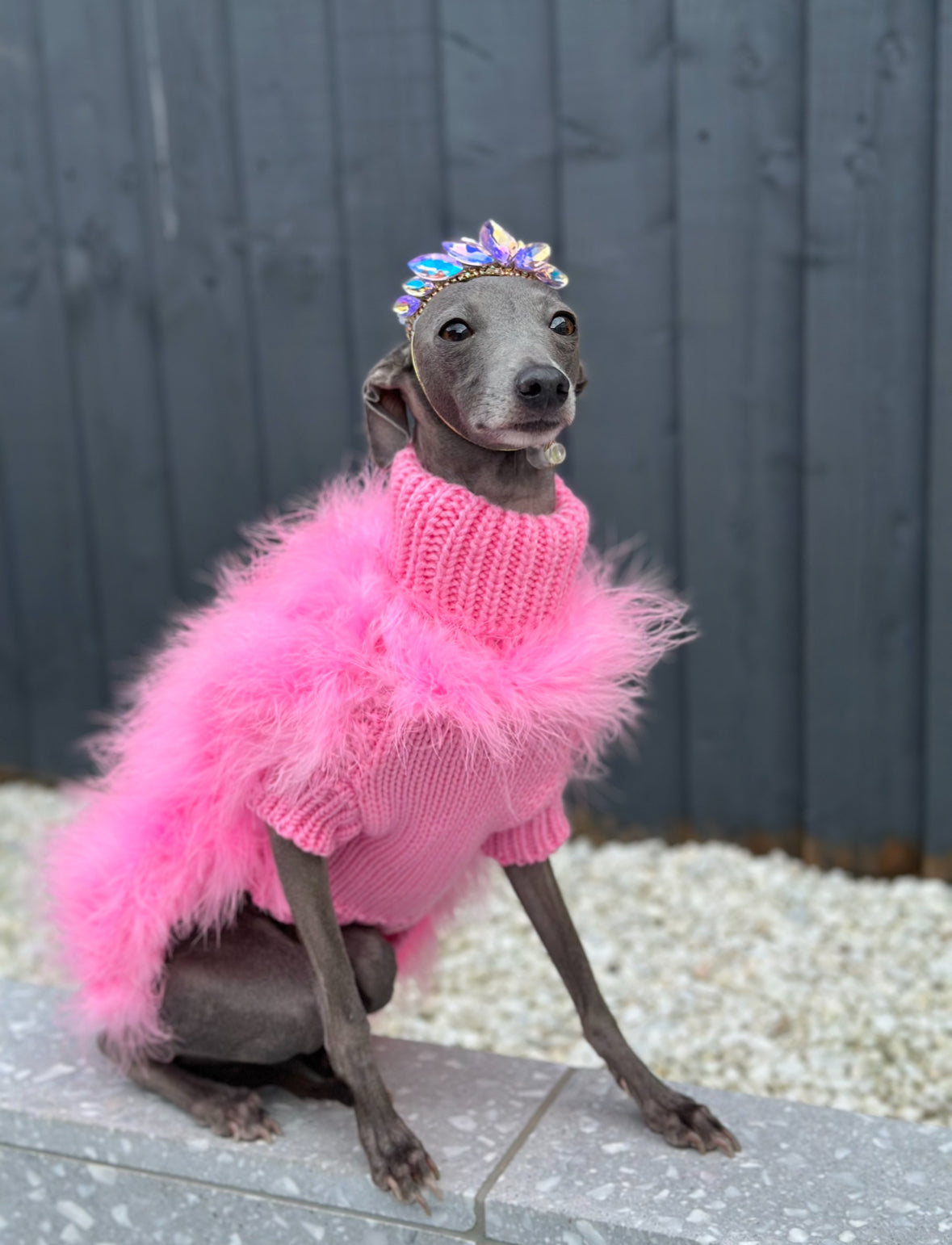Jumpers – Posh Iggys